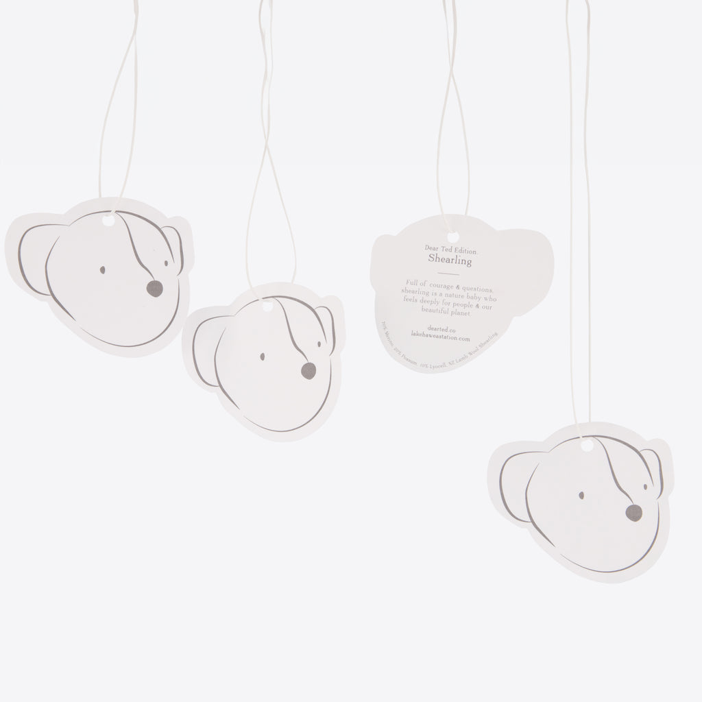 Collaborations – Dear Ted